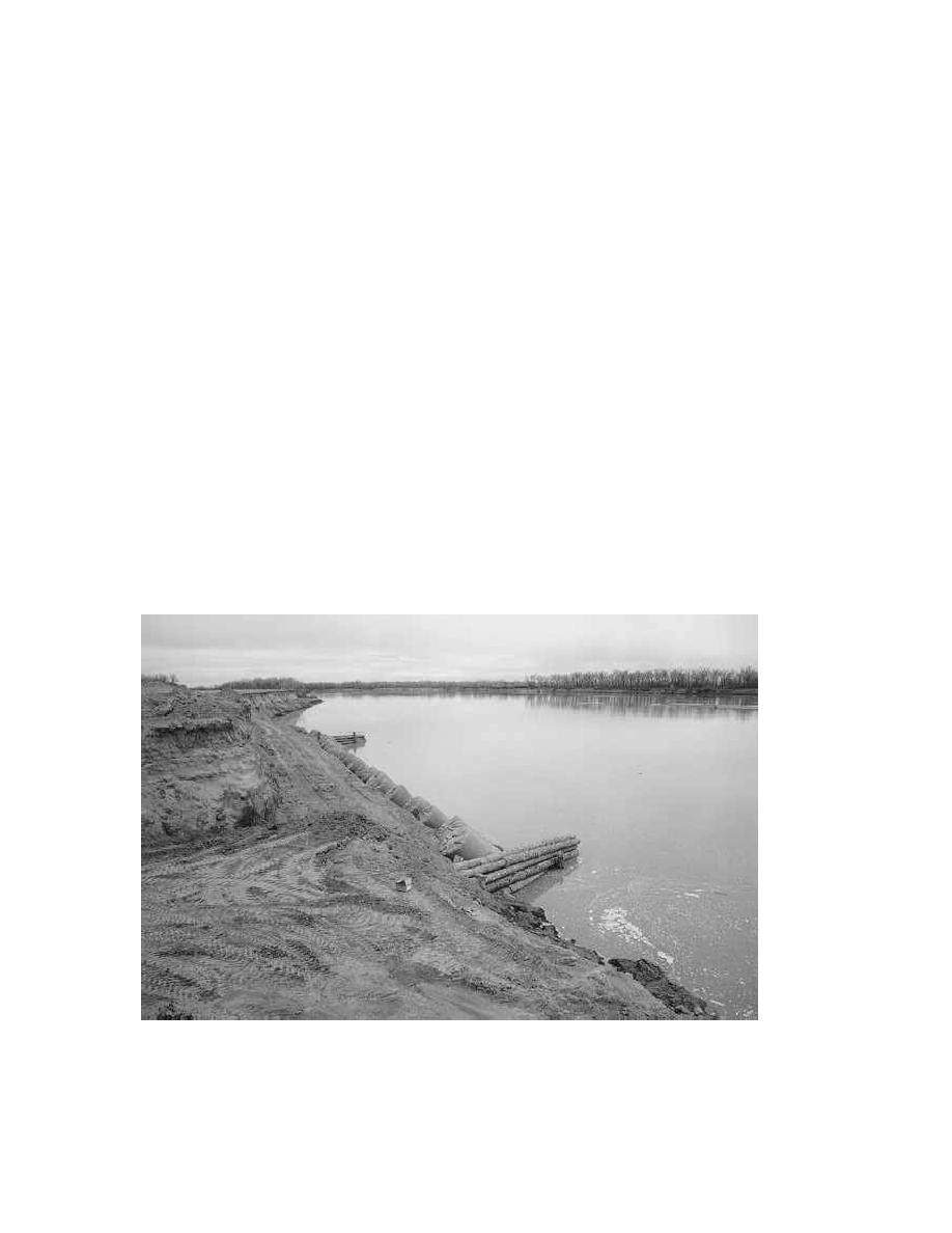 Hard Structures and Bioengineering